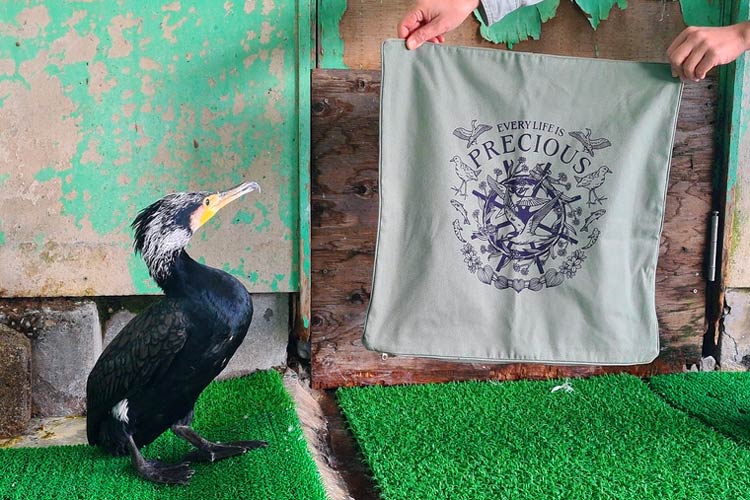 JAMMIN | Social Wear Brand