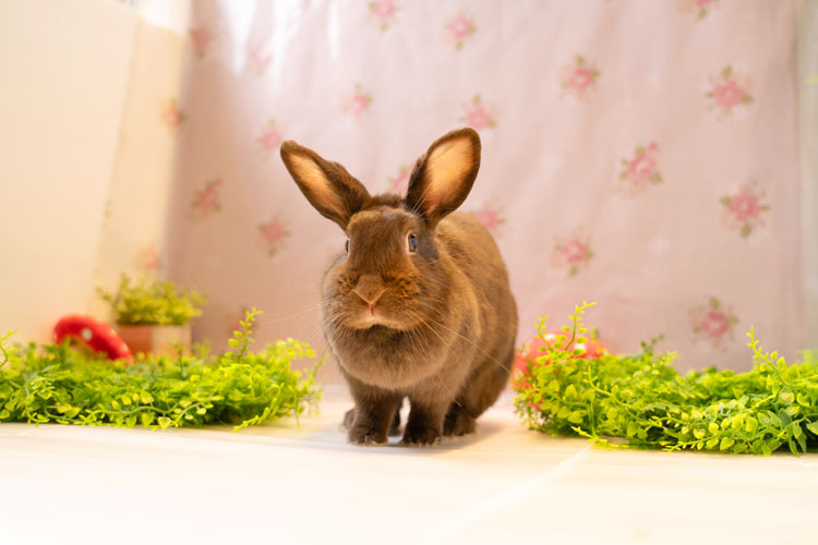 JAMMIN | Social Wear Brand